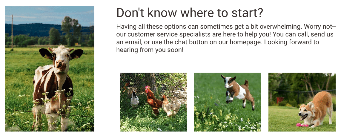 How To Create A Brand Guide: With Examples For 2024