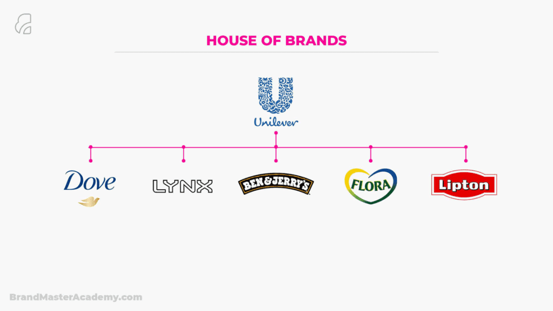 Brand Architecture: Examples Of Sub Brands + Models In 2025