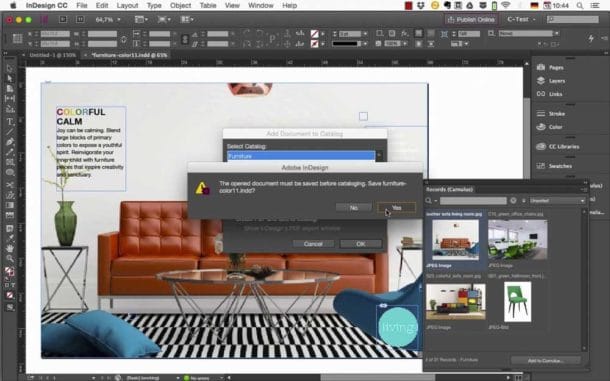 Essential Graphic Design Software The Professionals Use