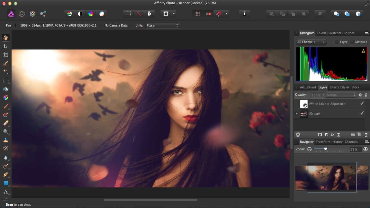 6 Best Photoshop Alternatives: Free + Affordable (2025)