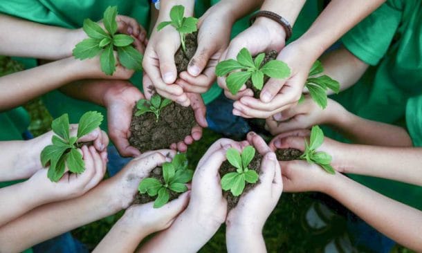 Top 10 Eco-Friendly Brands That Are Leading The Way In 2025