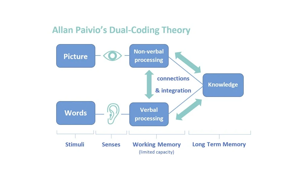 10 Principles Of Psychology To Improve Web Design In 2023