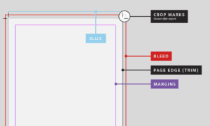Guide To Print Design: Everything You Need To Know - 2026