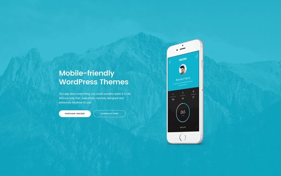 What Makes A Good Mobile-Friendly Website In 2022? - 10 Tips