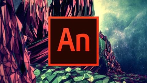 Top 5 Best Animation Software For Graphic Designers In 2022