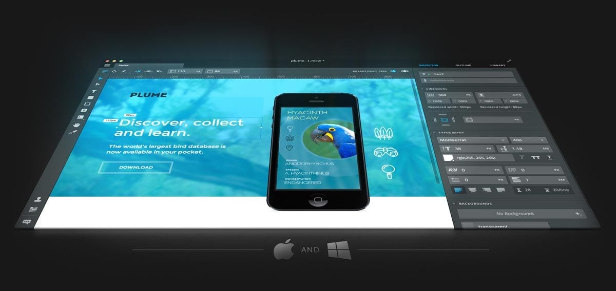 Top 8 Graphic Design Programs & Best Web Design Software