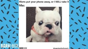 Meme Marketing Strategy: How To Gain Traction With Memes