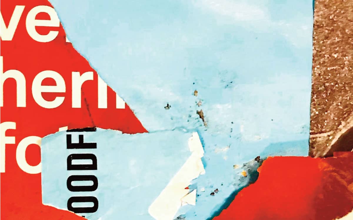 David Carson: The Graphic Design Maverick - 2025 Biography